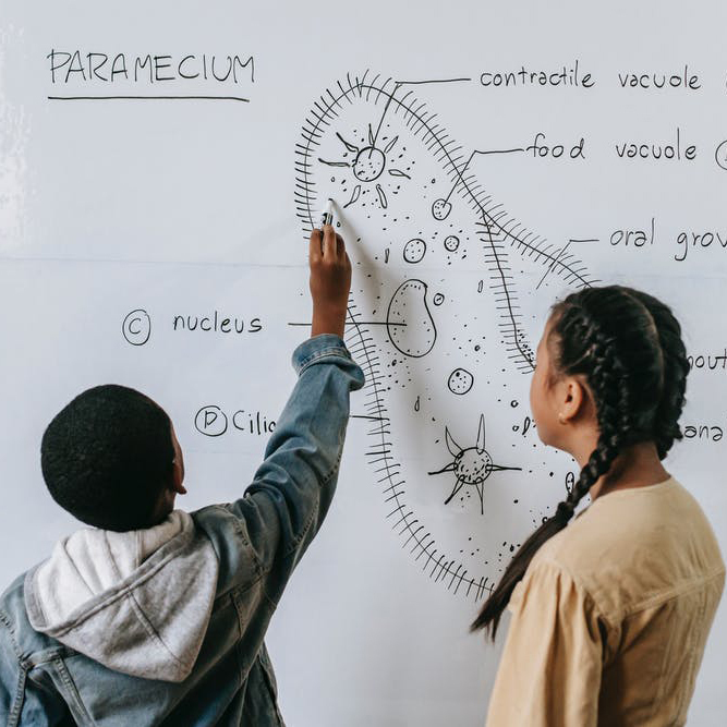 UNESCO for Quality Education