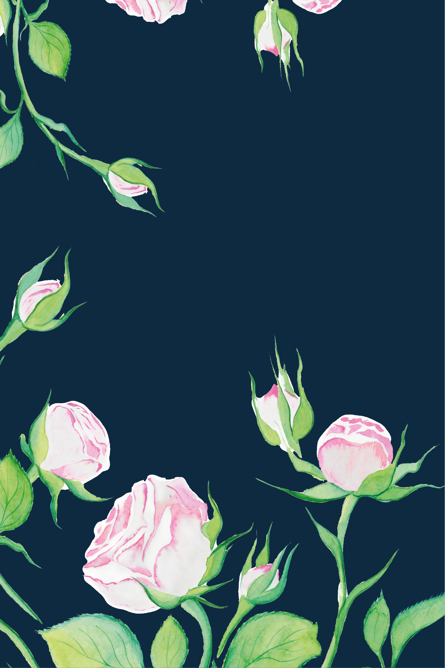 Rose of Muhammad Attar