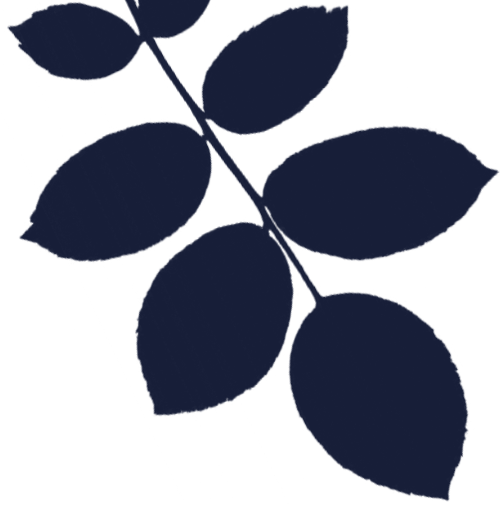 Кейс. Голубой сад