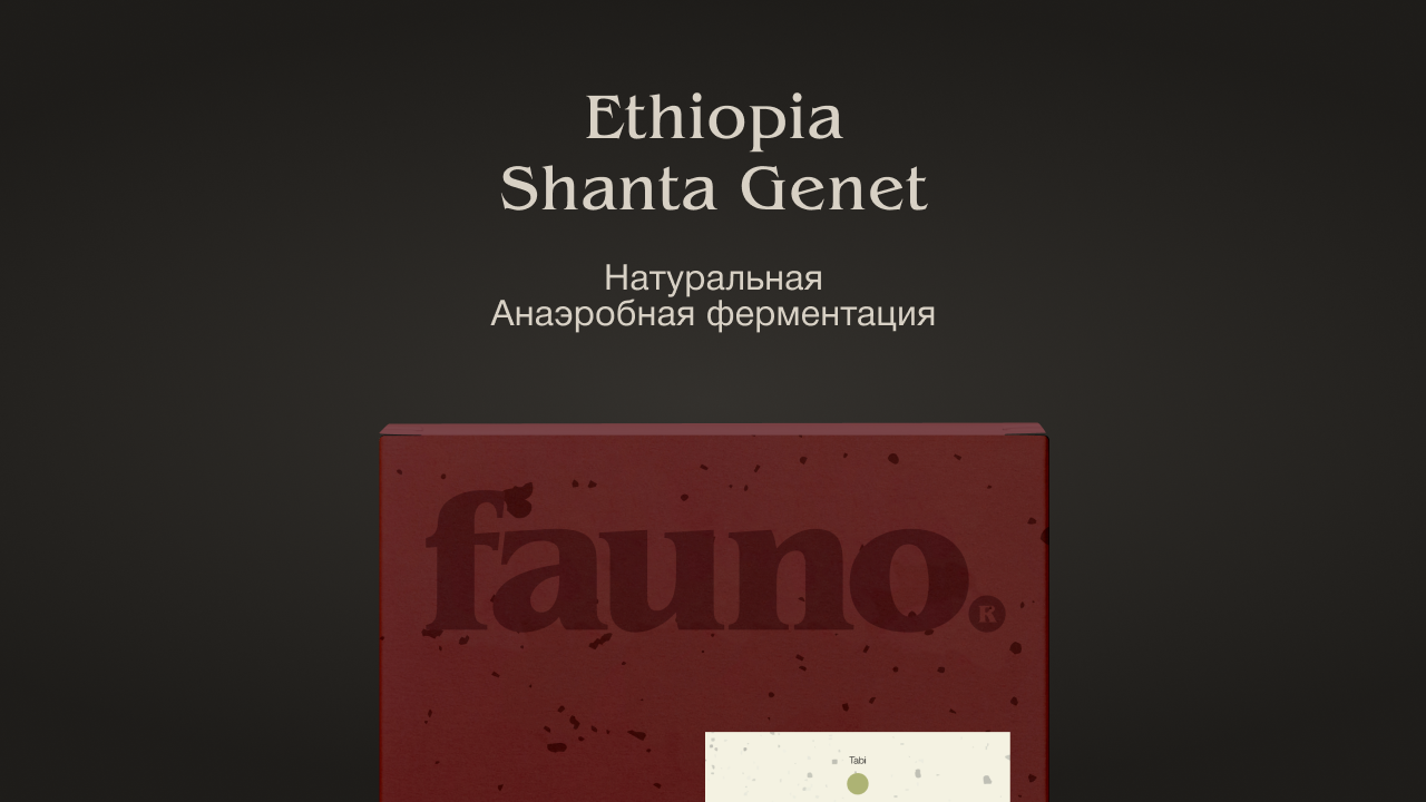 Ethiopia Shanta Genet