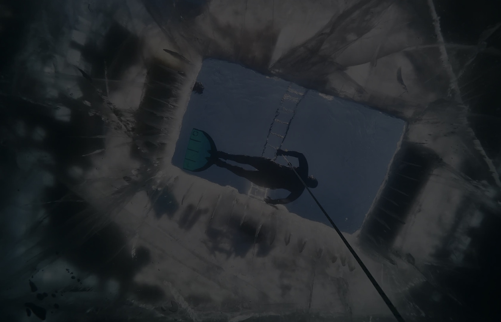 О школе — Orca School