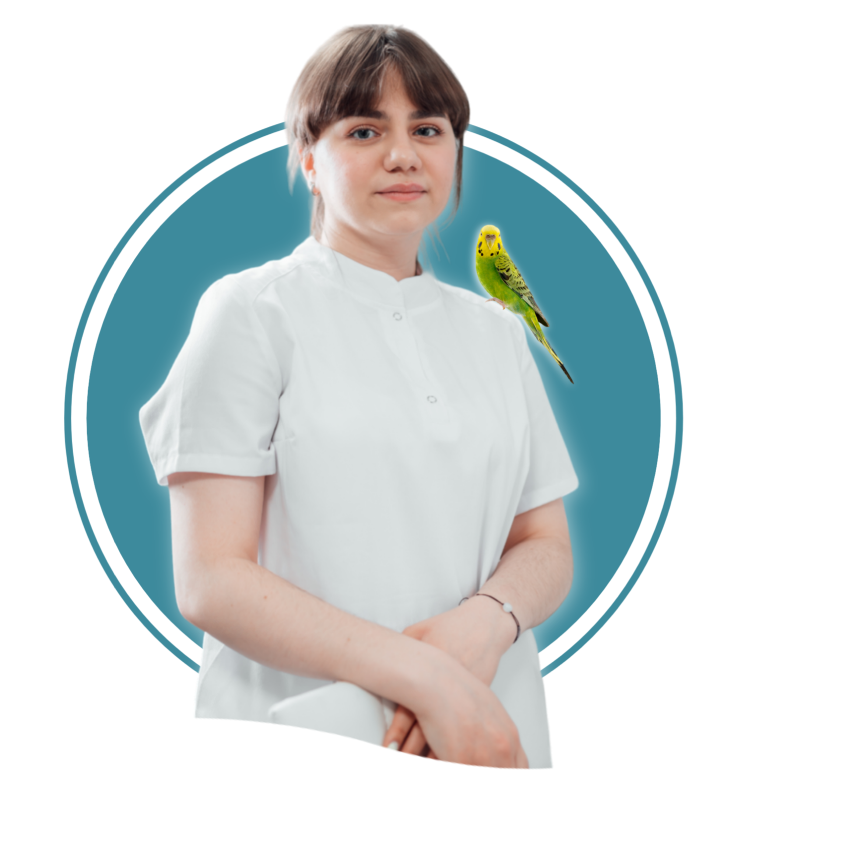 Ветеринарная клиника «Чижик-Пыжик» в Санкт-Петербурге