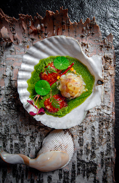 Wolffia - Crop of the future