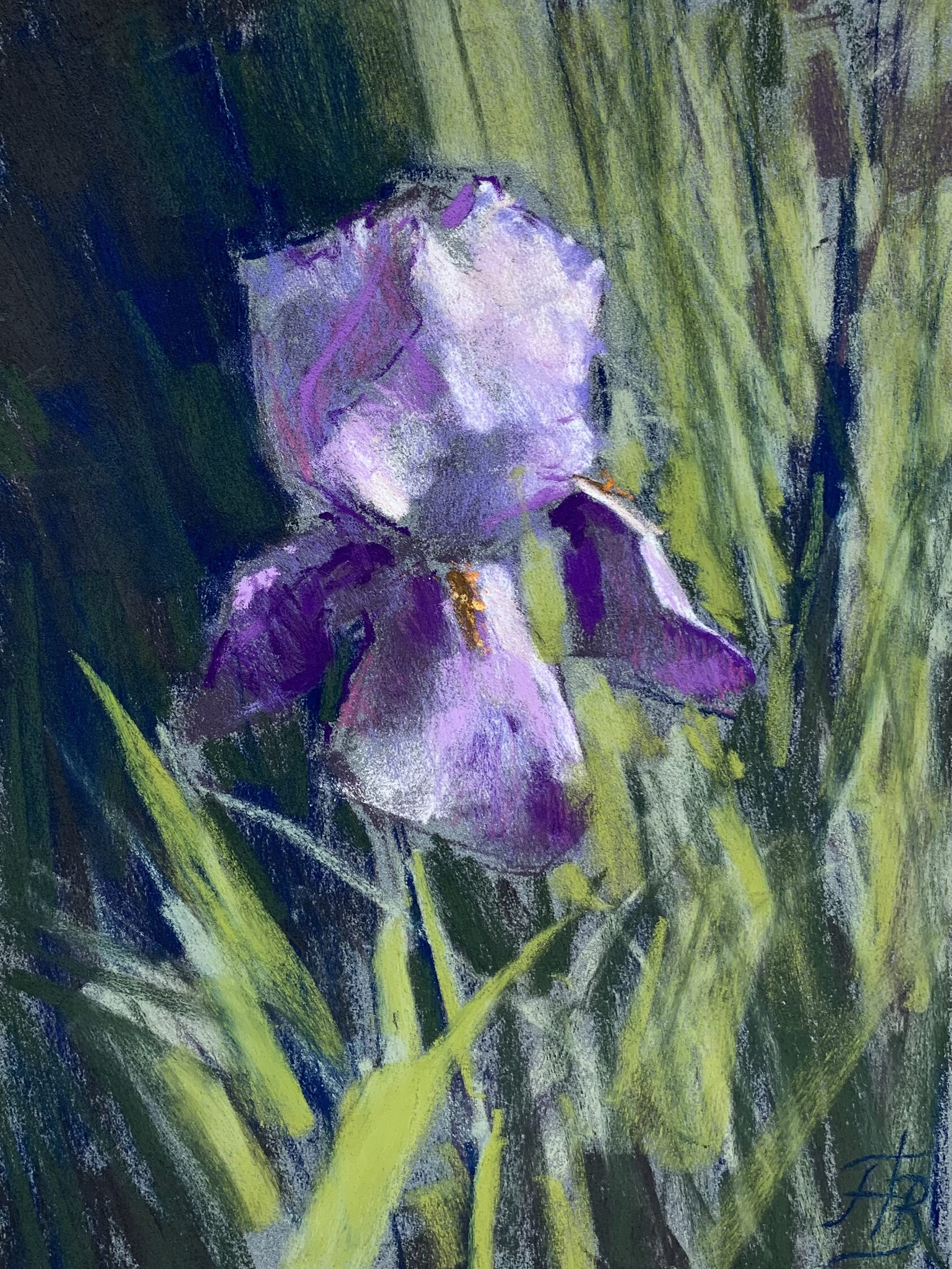 Lesson "Introduction to Pastels: Sunny Iris"
