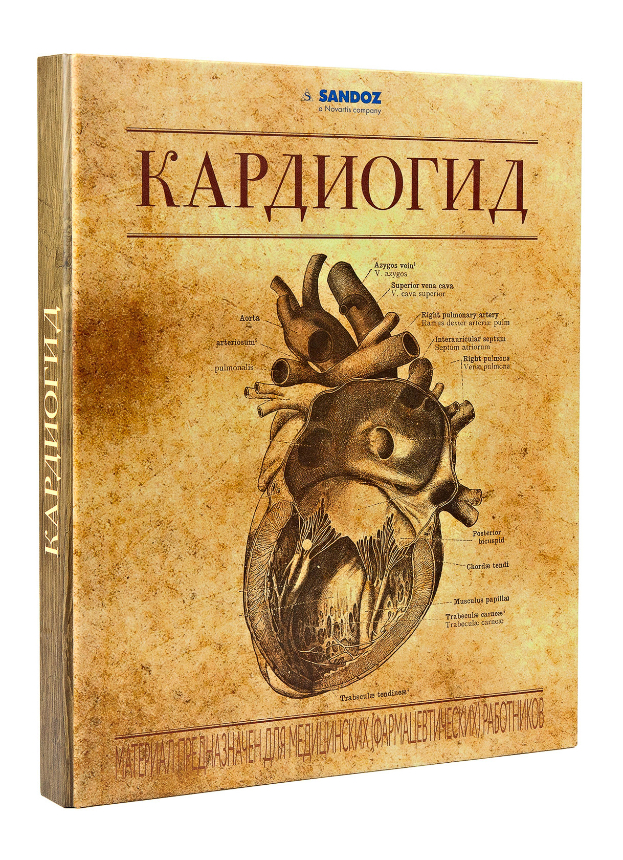 Брошюра на кольцах «Sandoz» — сделано в Print Space