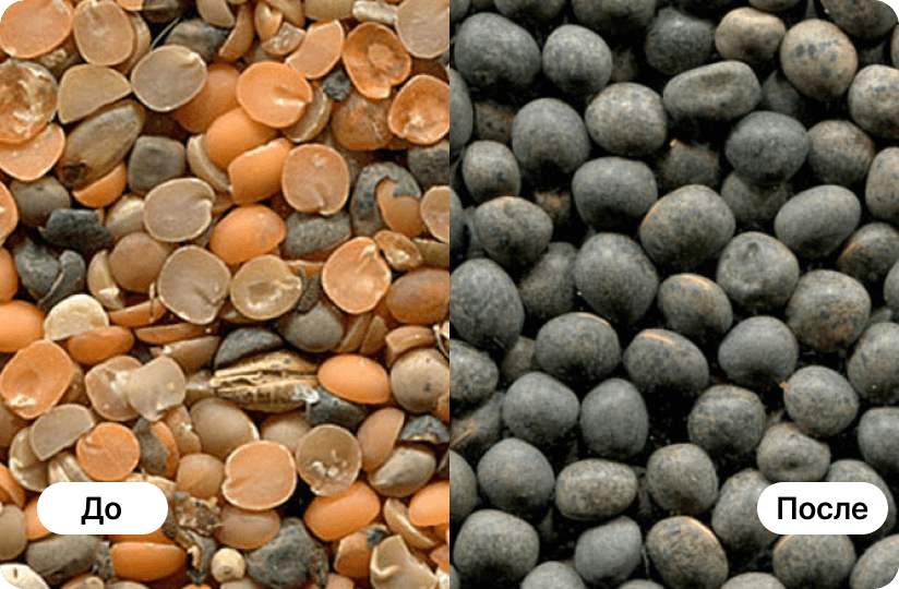 Фотосепаратор SmartSort C3