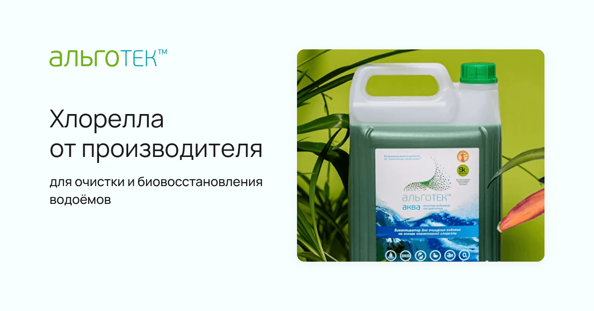 Хлорелла для пруда: эффективное очищение и кристальная вода