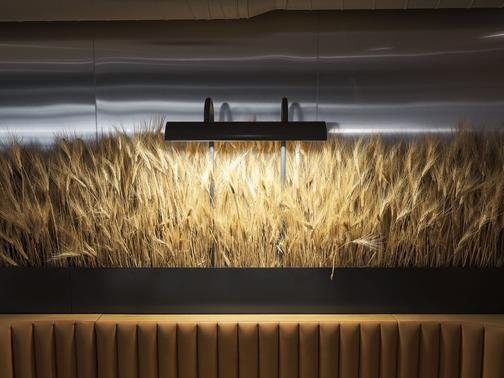 BUTCHER HOUSE (EN)