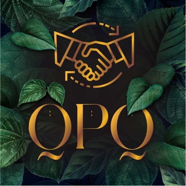 Our Team - QPQ International