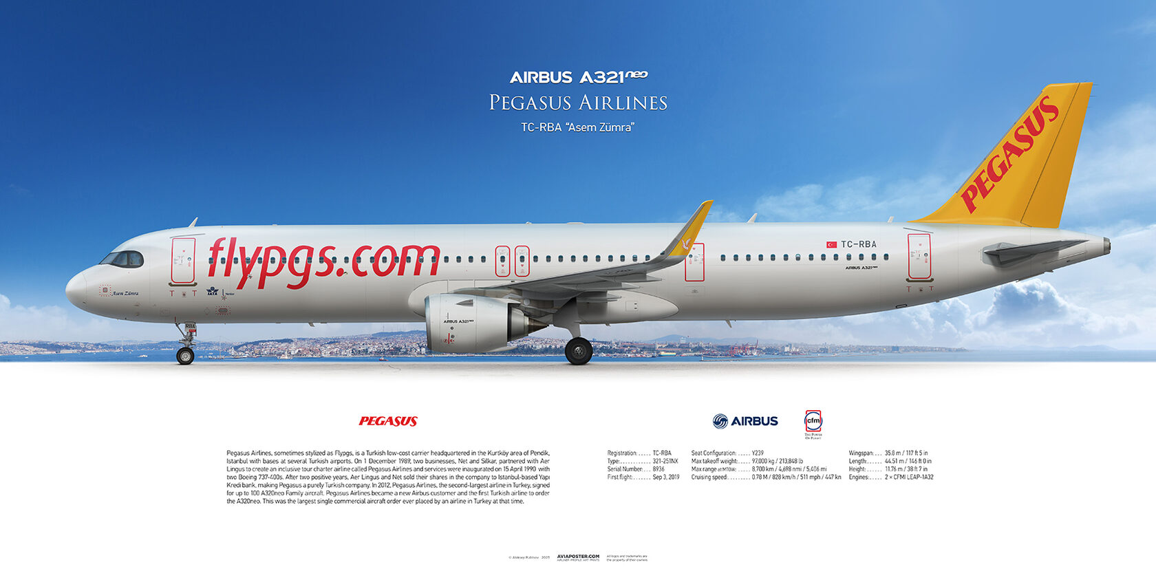 Fine Airliner Profile At Prints | Civil Aviation Posters | Aviaposter