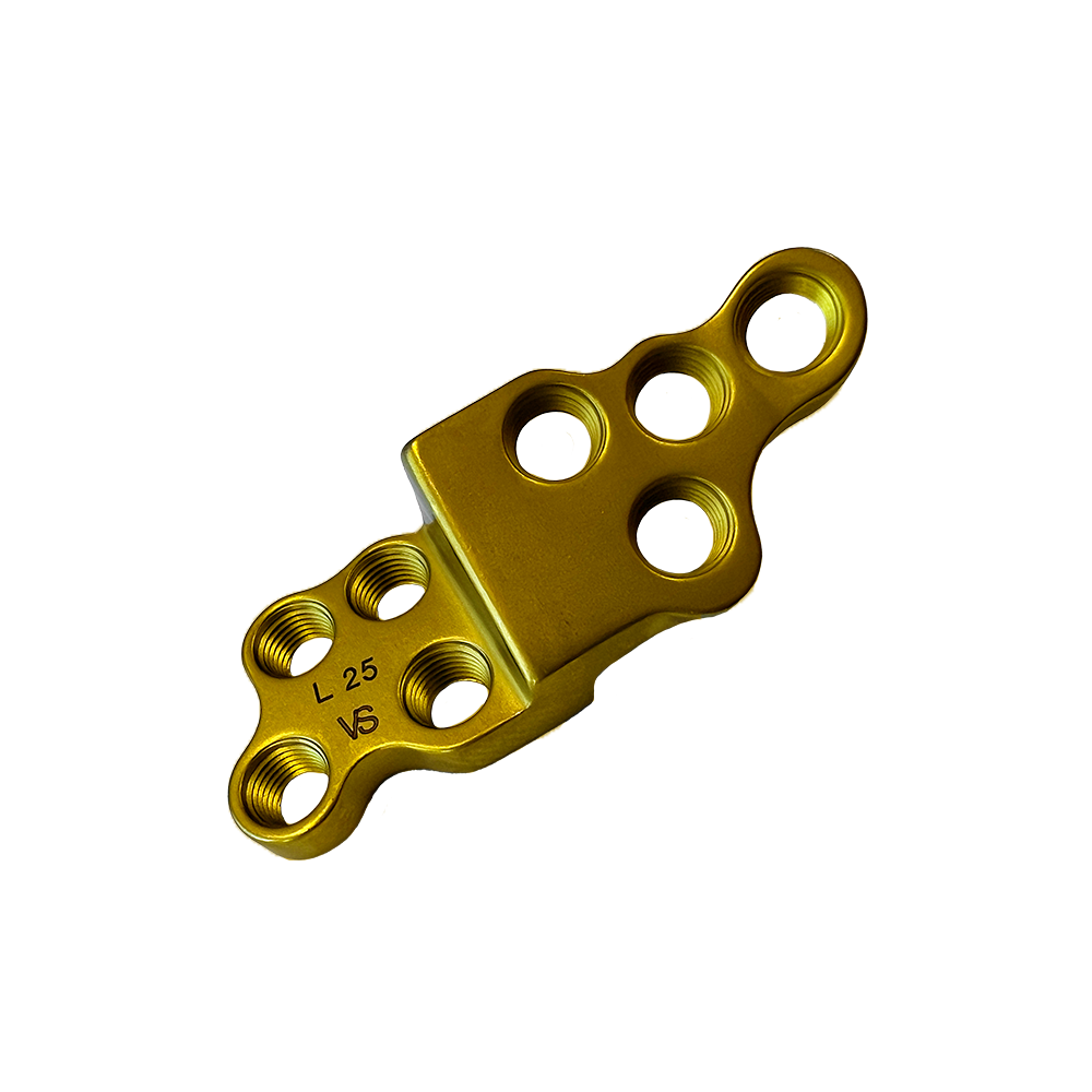 DPO VS Plate System for Double Pelvic Osteotomy