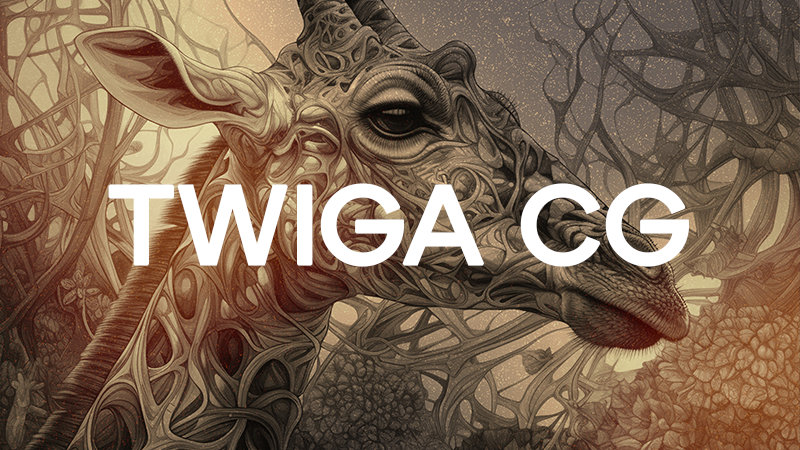 About Us | TWIGA Communication Group