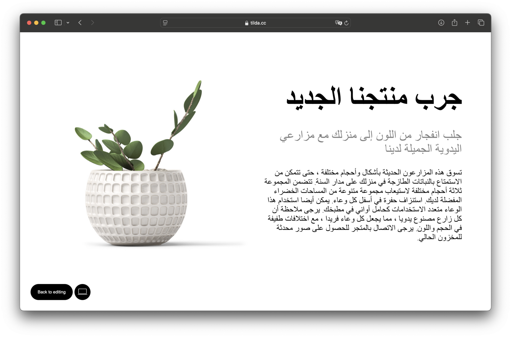 How To Manage Text Direction (RTL)