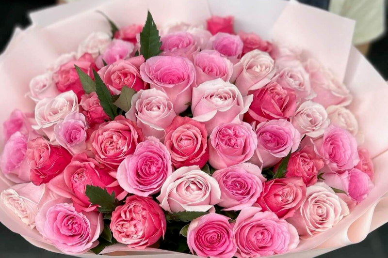 The Meaning of Rose Colors