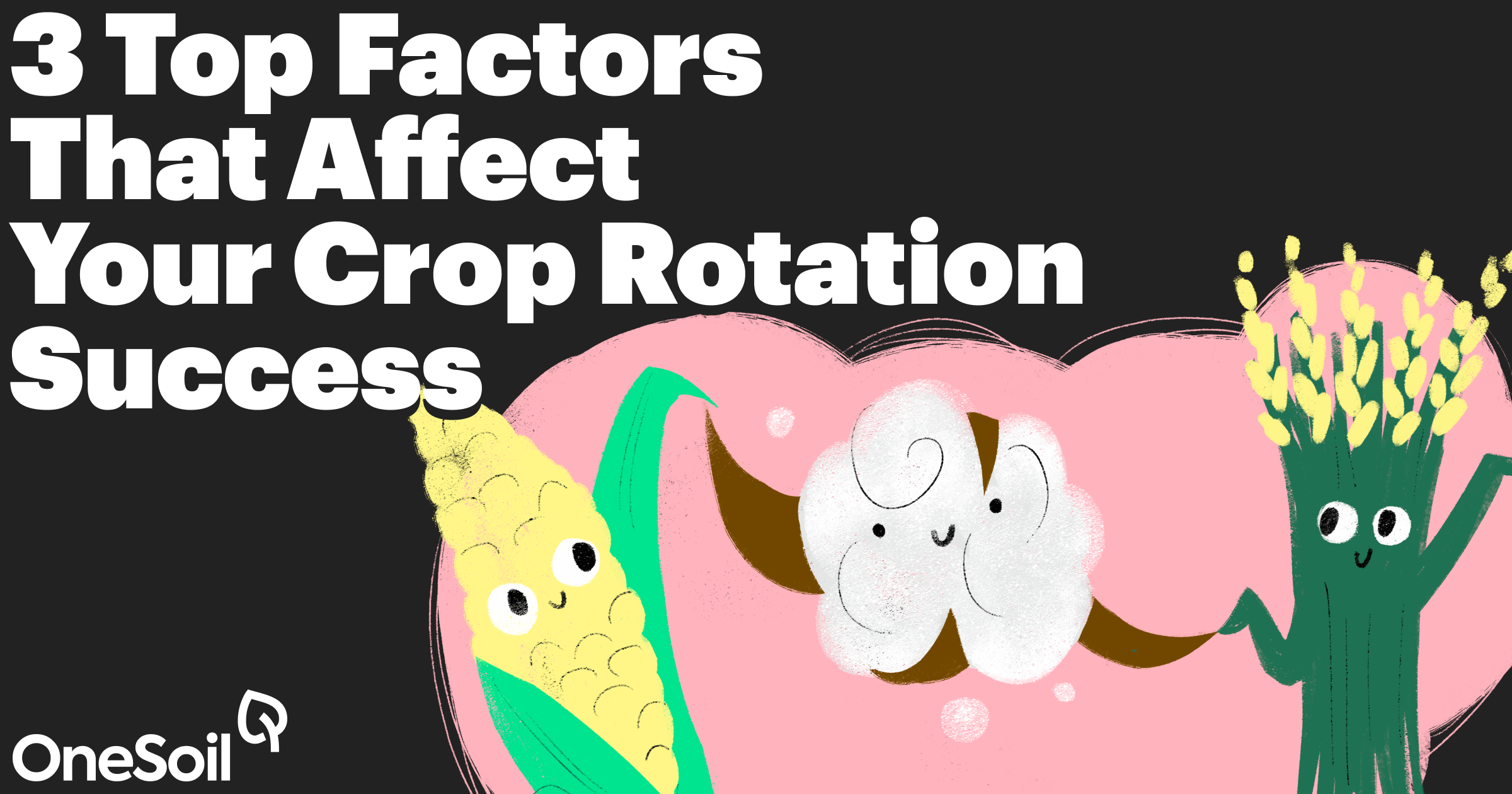 Three major factors that make your crop rotation chart a success (or ...