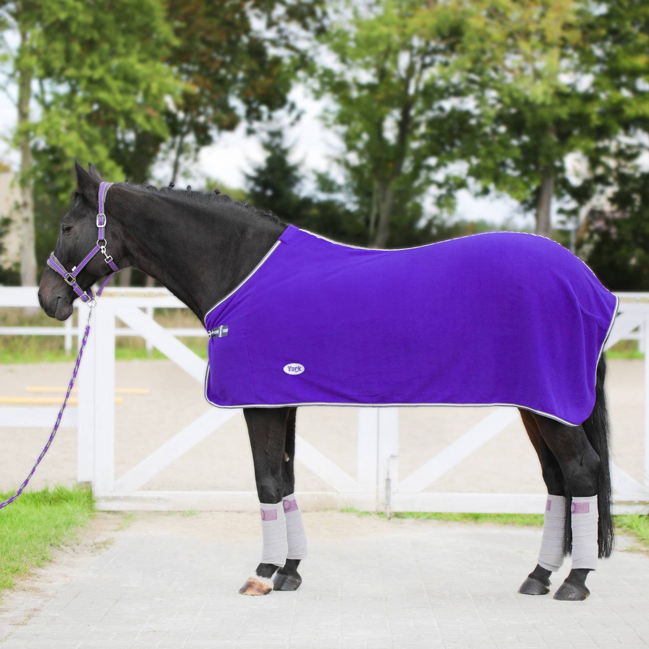 Флисовая попона без ремней York Britta