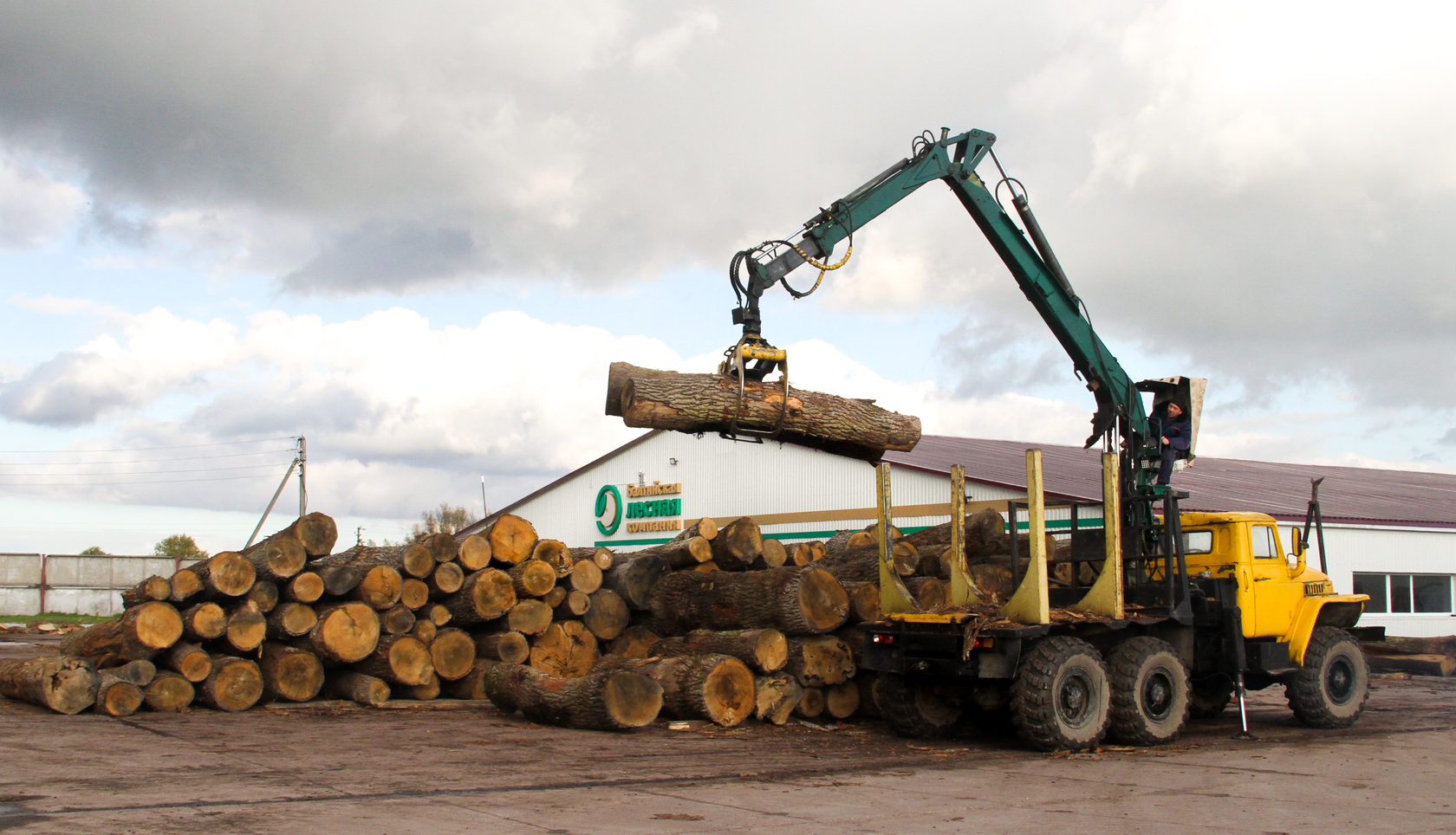 Baltic Forest Company