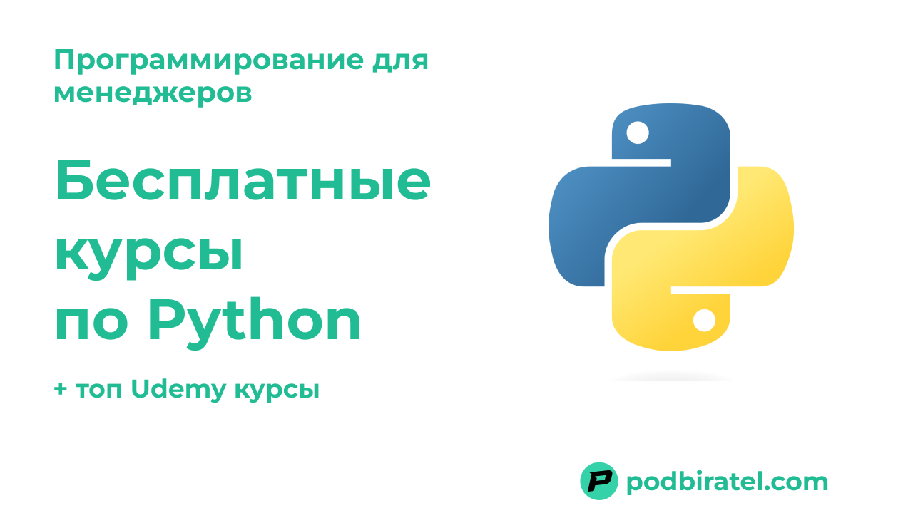 Программирование на Python для менеджеров бесплатные курсы