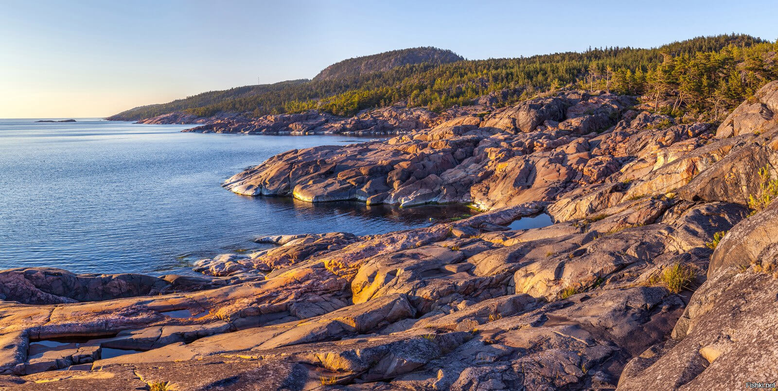 Sailing in St. Petersburg. Can you get there by boat?