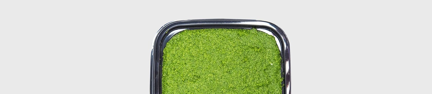 Wolffia - Crop of the future