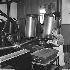 Bern and the Chocolate Factory