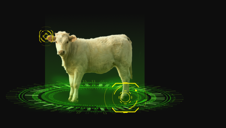 AgroCode Hack 2022 — третий agro-tech хакатон