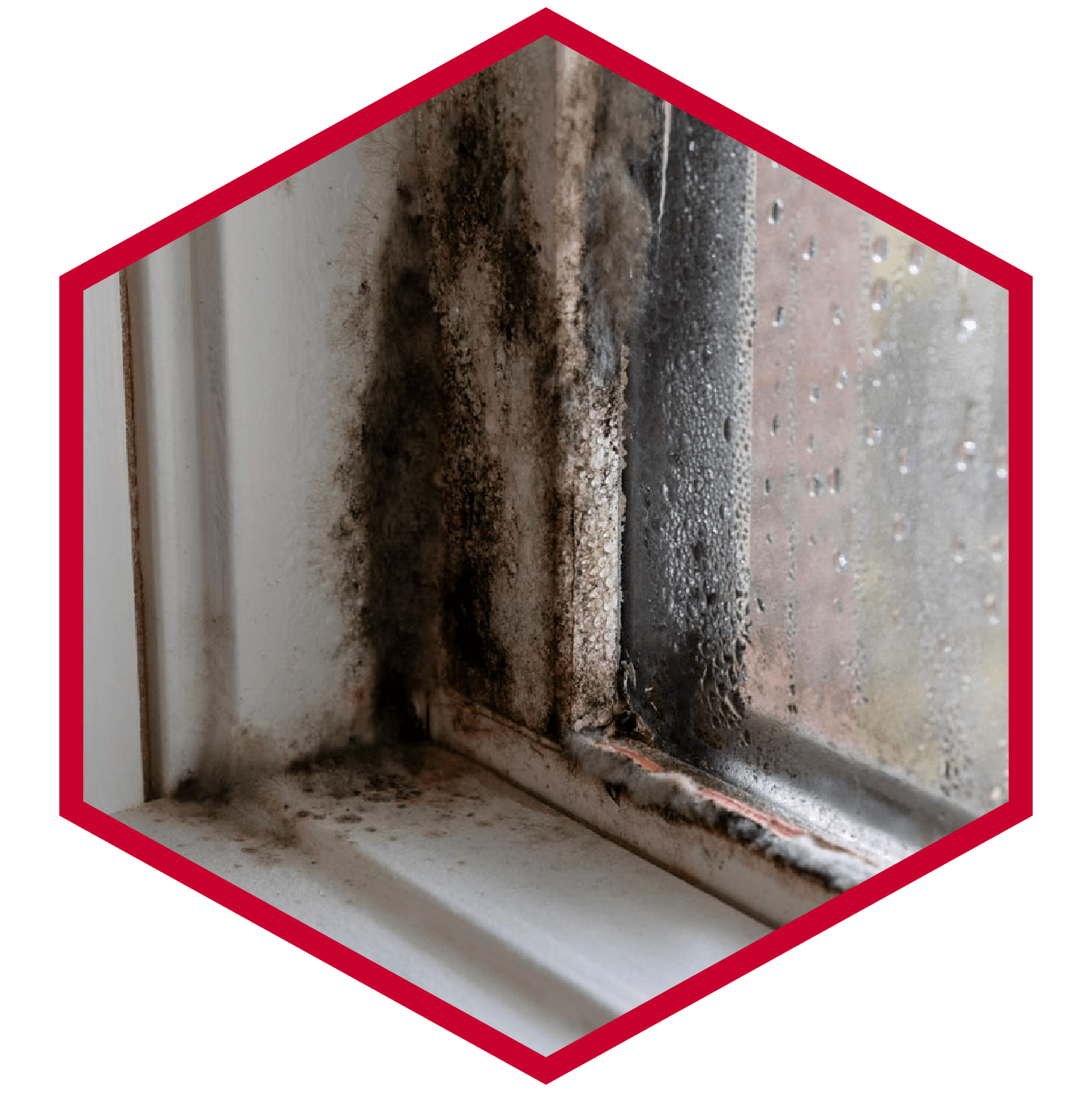 ТЕРМО ОКНА от производителя Thermo Glass