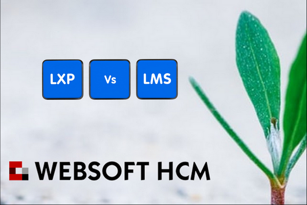 Что такое LXP, чем отличается от LMS, зачем это нужно и как внедрить