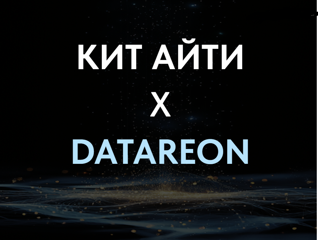 Datareon. Внедрение и поставка
