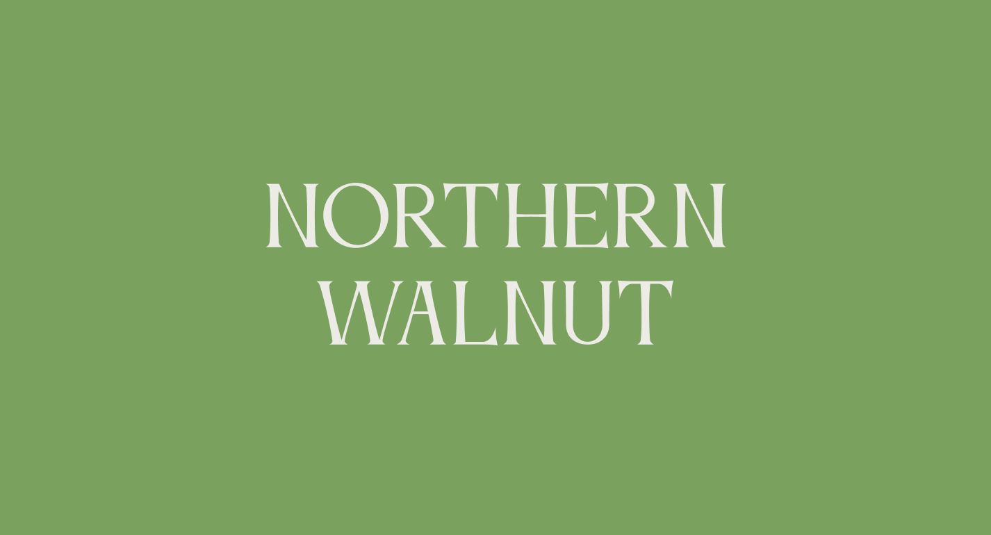 Buy northern walnuts grown in Latvia | Walnut.lv