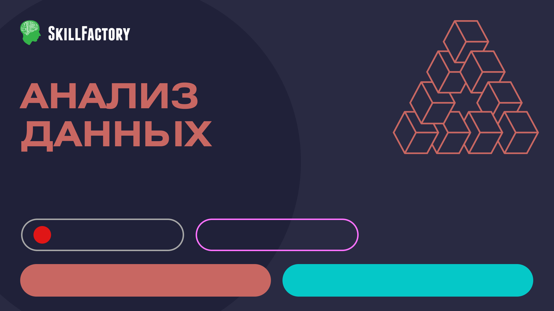 Курсы Python: онлайн-обучение Питону в SkillFactory