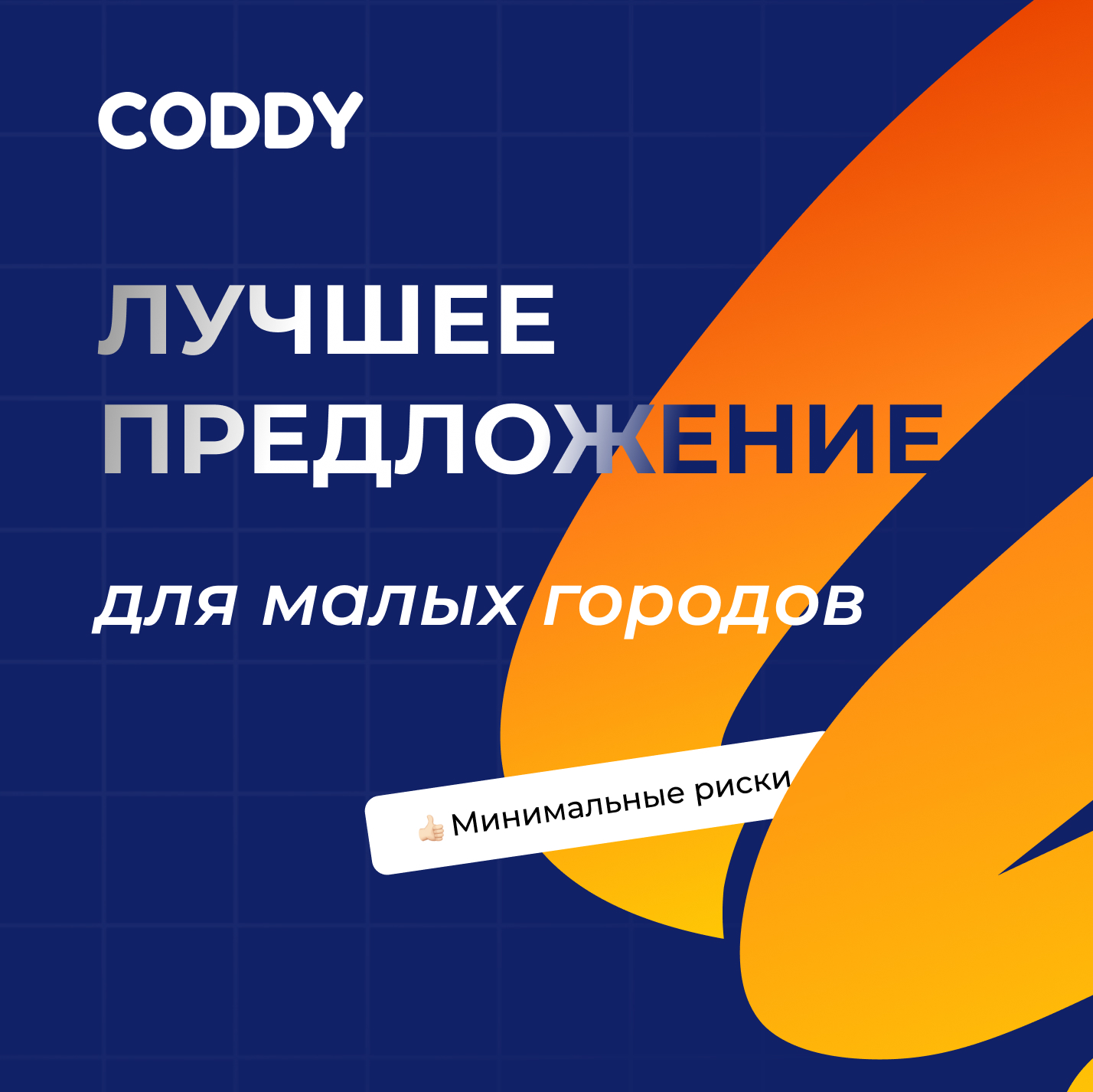 Франшиза CODDY regions