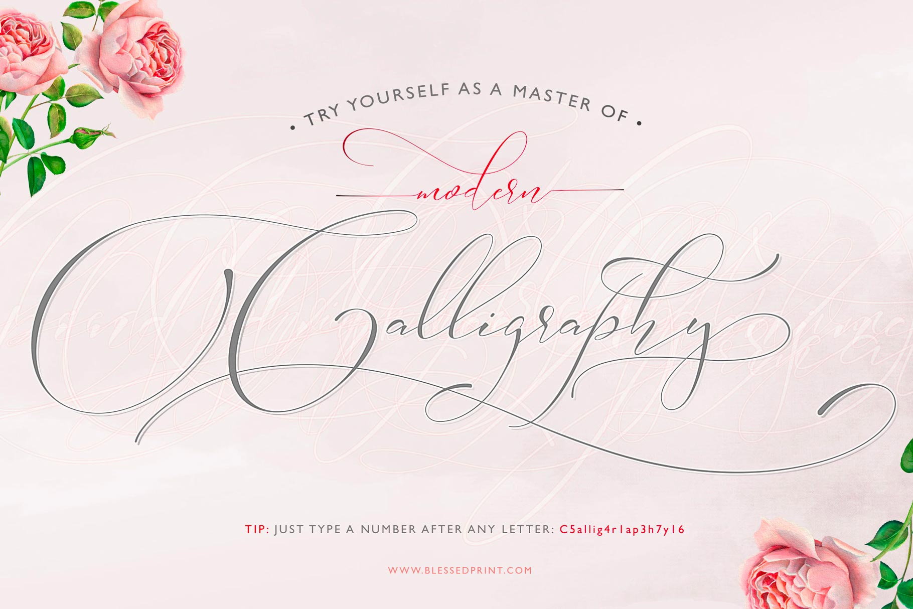 Sophia Font | Script fonts - Blessed Print
