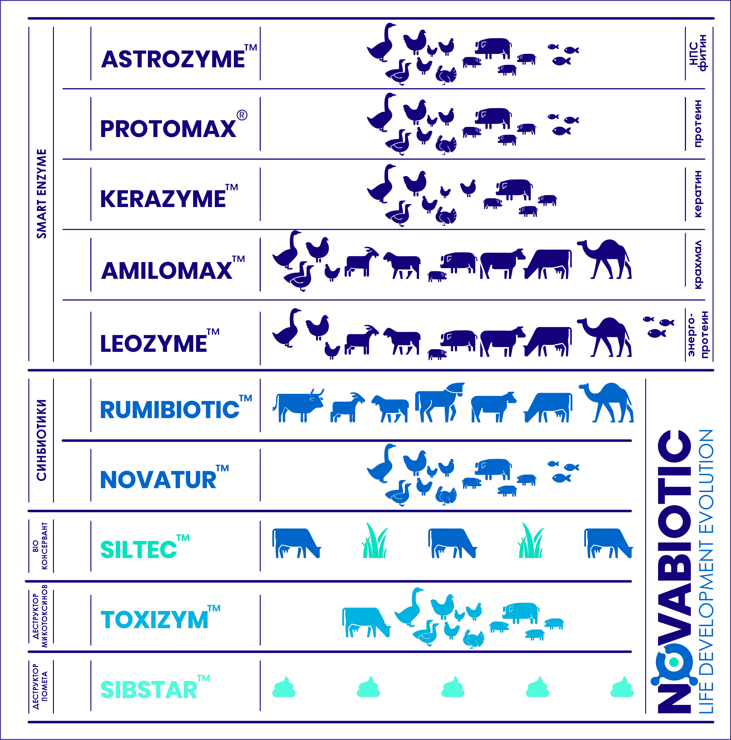 НОВАБИОТИК