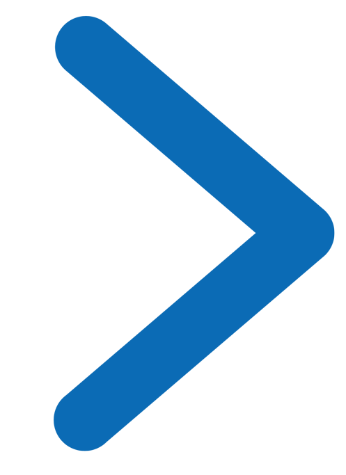 Kokoshi Japan quality diapers