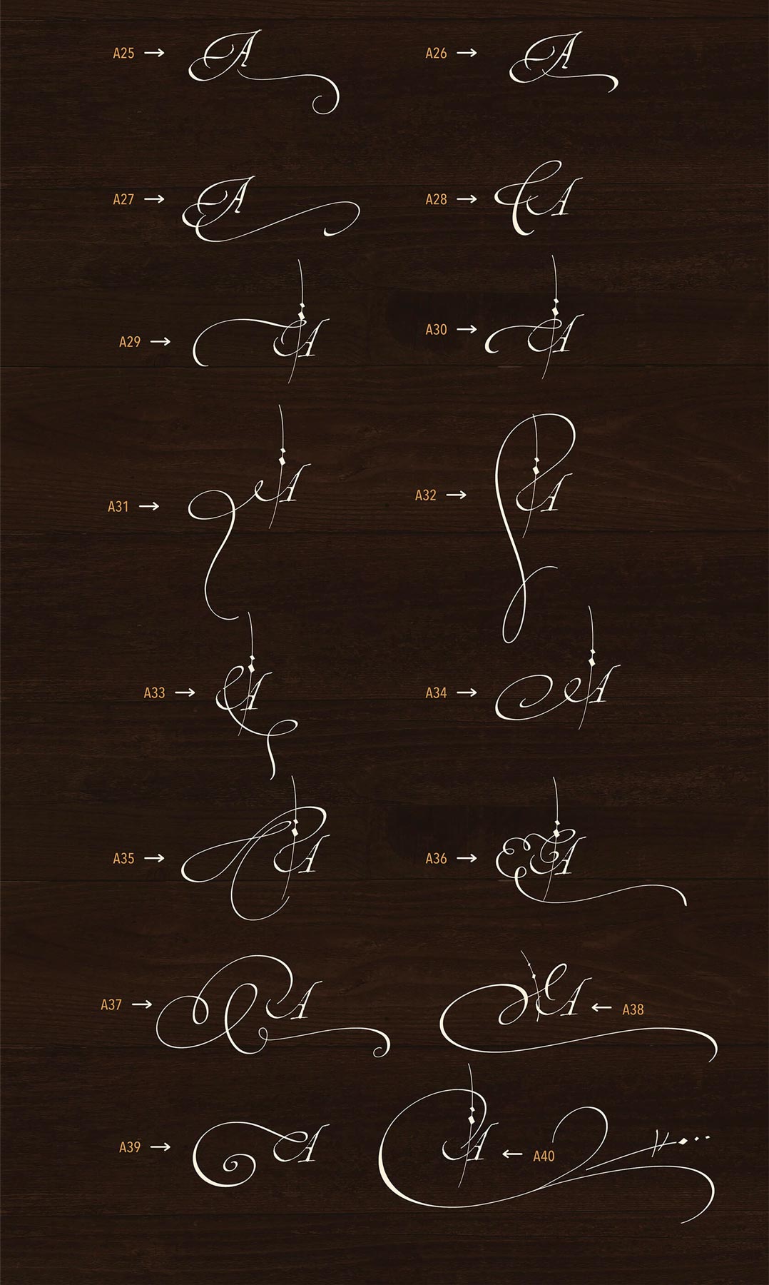 Cardinal Font | Italic Fonts - Blessed Print