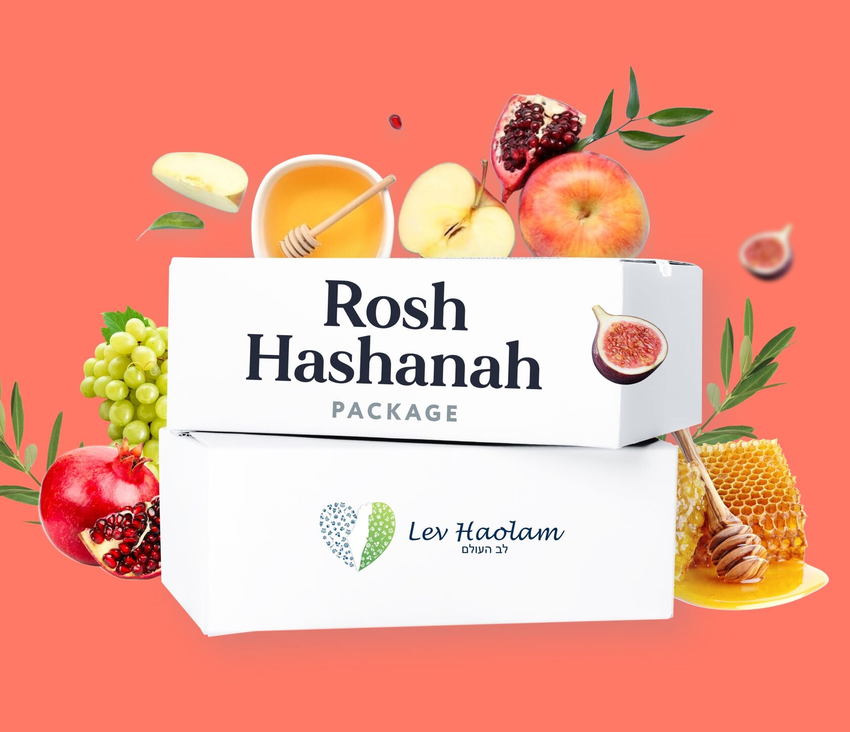 Get a Rosh Hashanah Box!