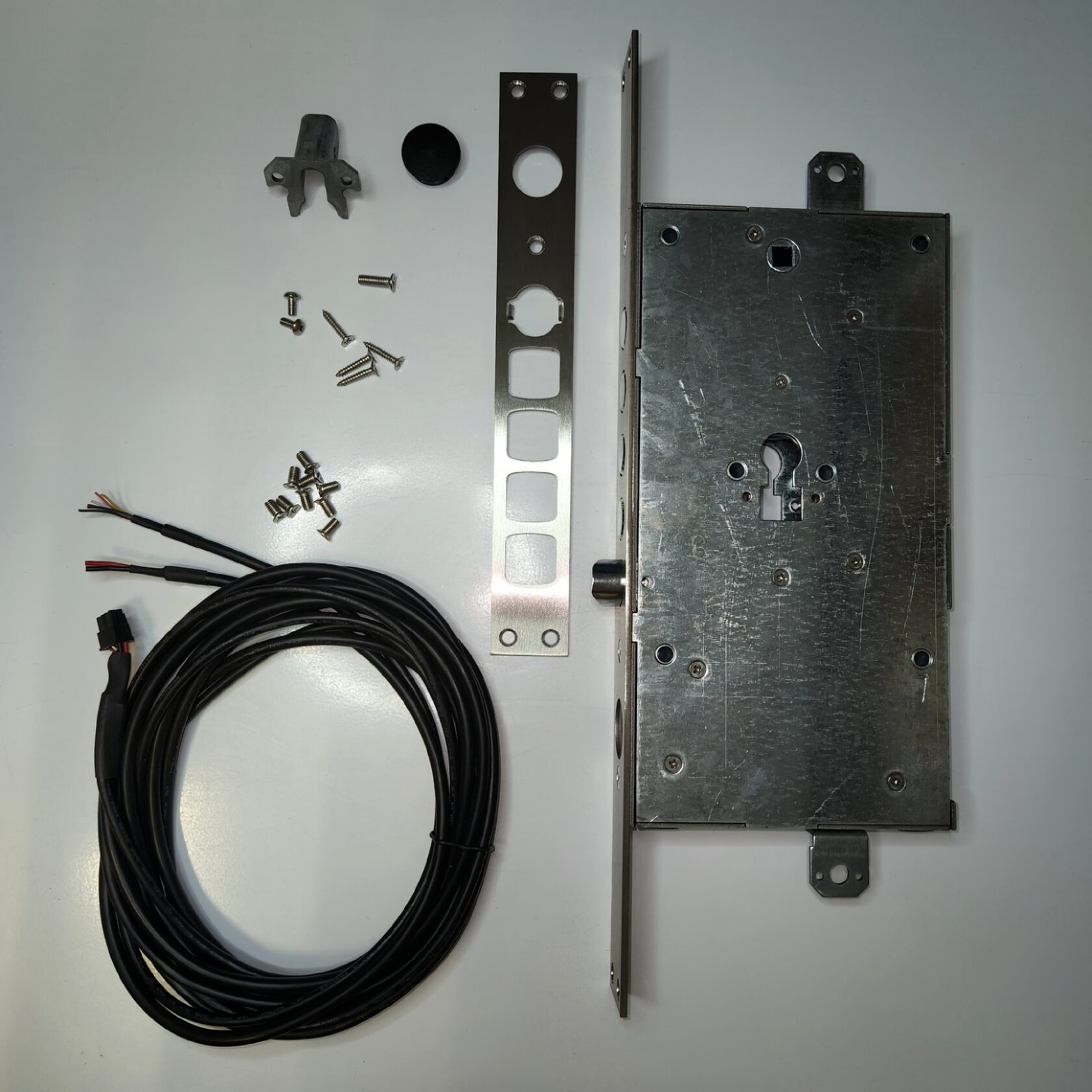 Купить электромоторный замок Dircode DM-1. Доставка и монтаж.