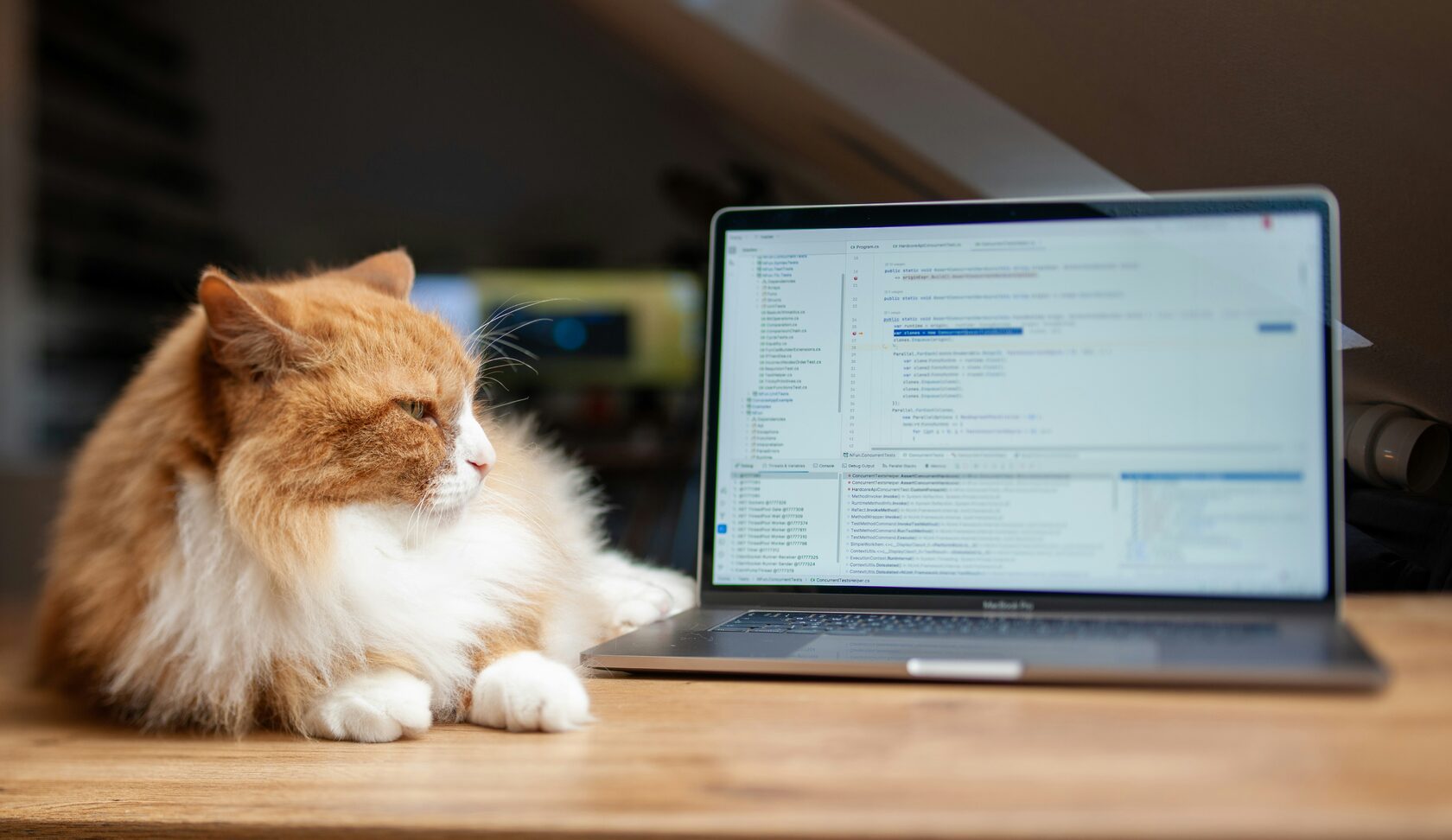 Senior Python/Full Stack Developer (Remote)