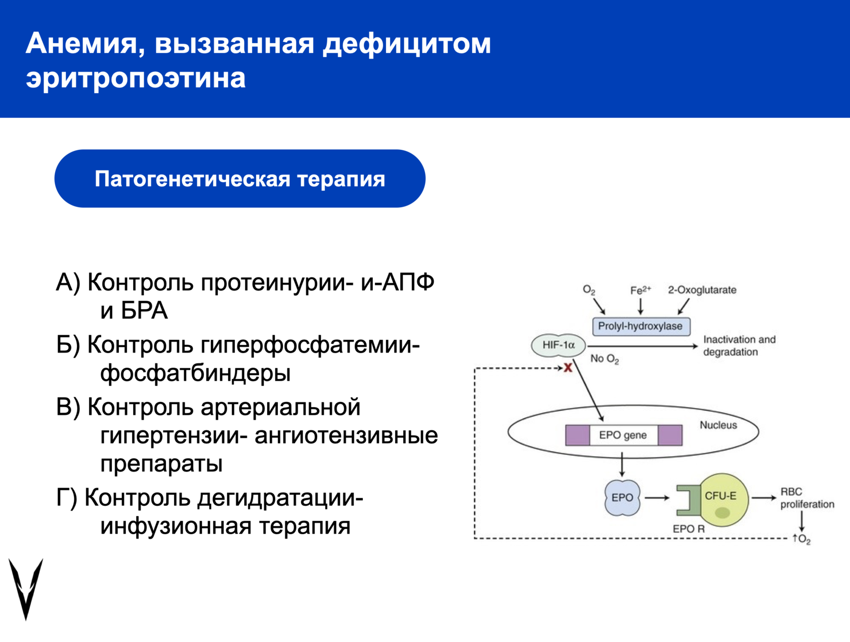 Вебинар Анемия Лечение