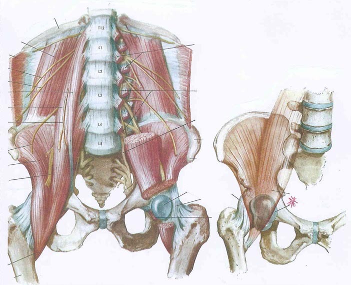 Slijmbeursontsteking