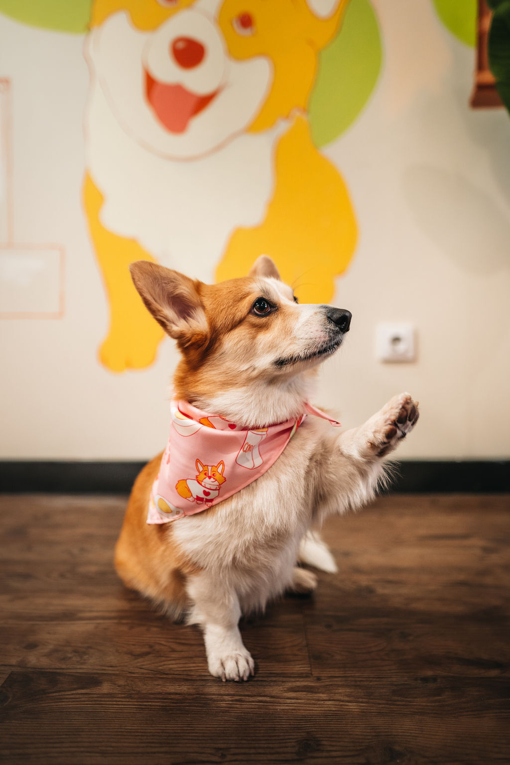 Corgi Cafe | Specialty Coffee and Brunch Barcelona