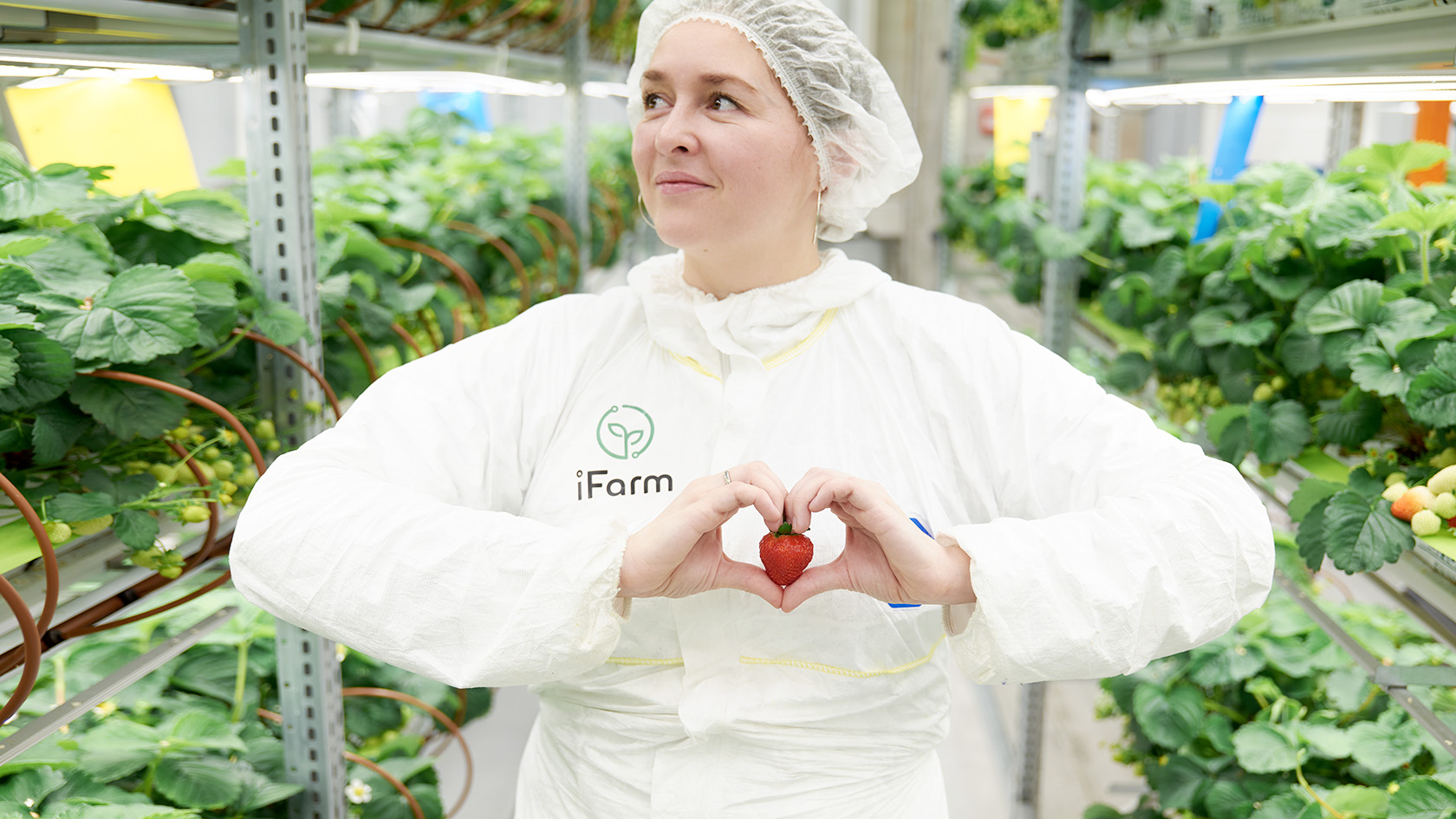 iFarm Report for 2021