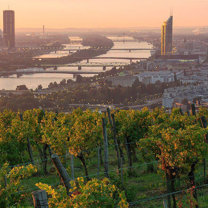Döbling: 19. Wiener Gemeindebezirk: Kliniken, Immobilien