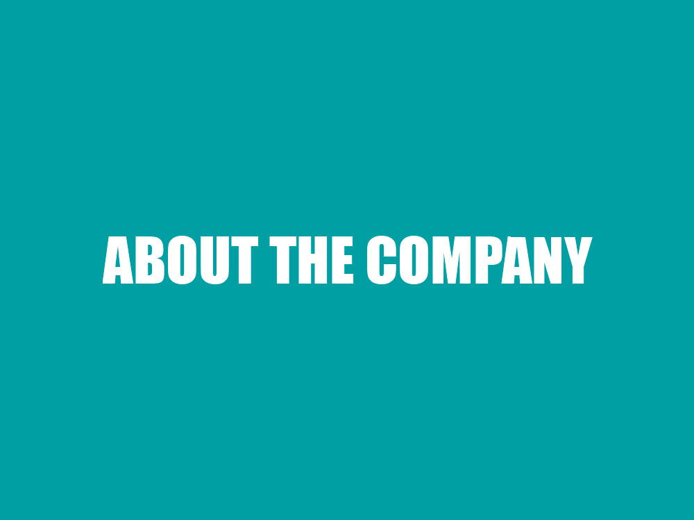About the company