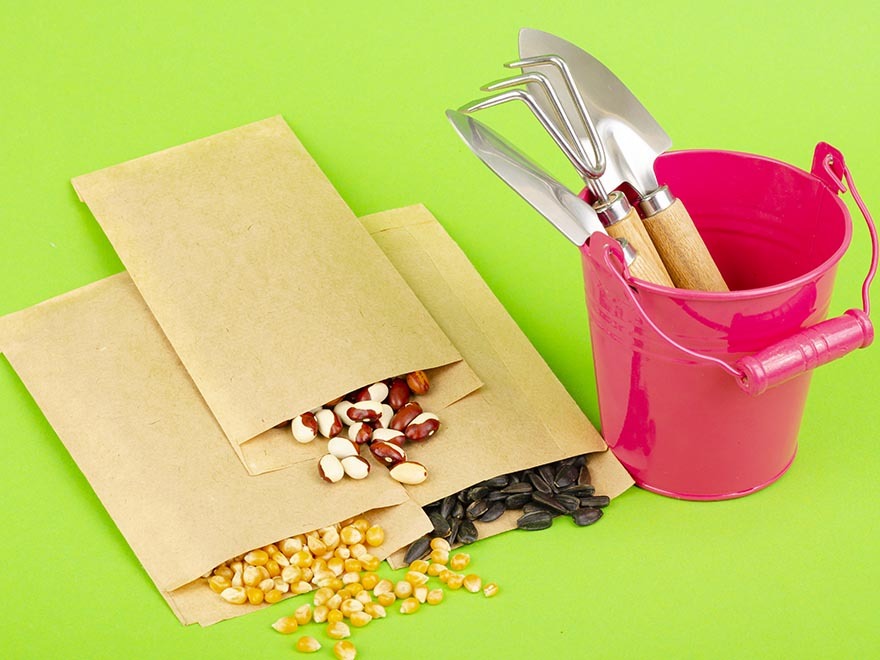 Seed Starting Tips. When to Soak Seeds