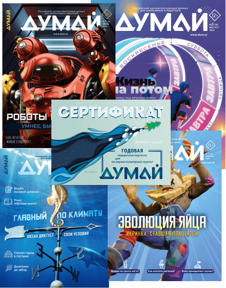 Подписка в подарок