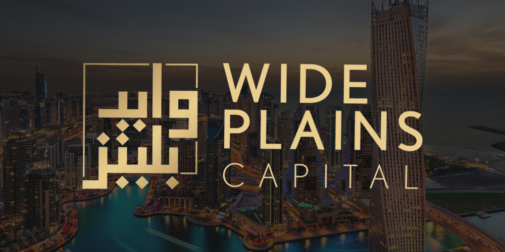 Investments in real estate in Dubai with a yield of 40% per annum| Wide ...