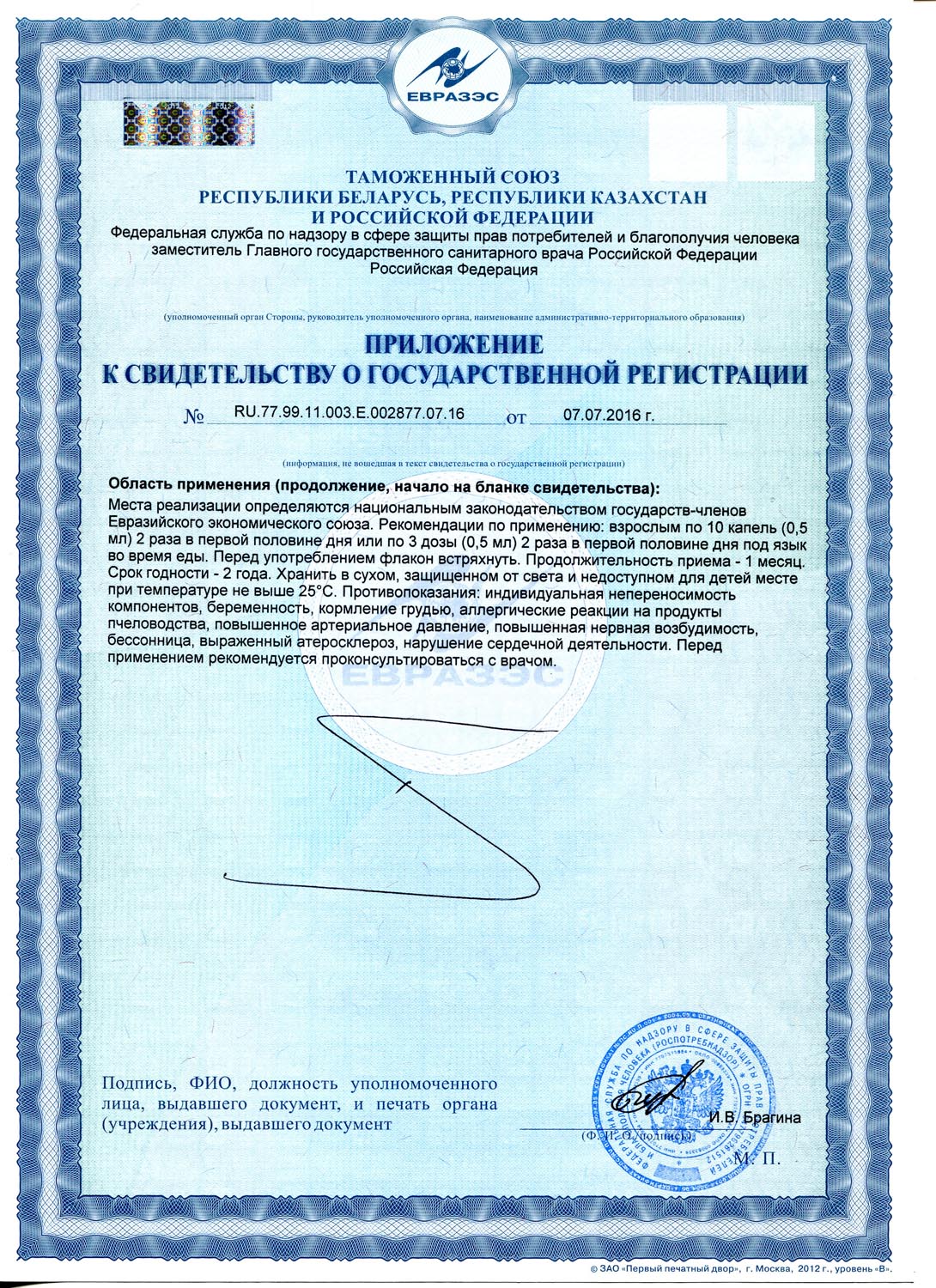 ЭПАМ 11