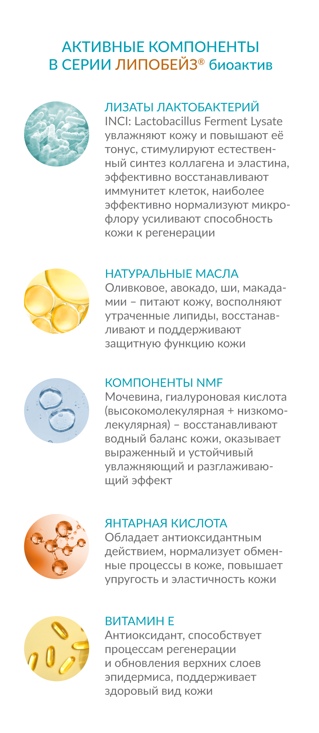 Липобейз bioactiv
